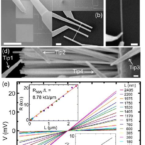 A Large Scale Sem Image Of The Sample Geometry Used To Characterize