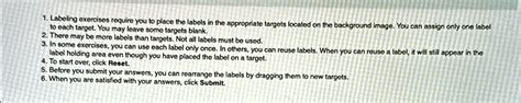 solved labeling exercises require you to place the labels in the
