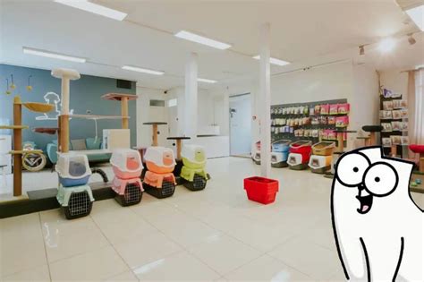 راهنمای خرید وسایل گربه دایان