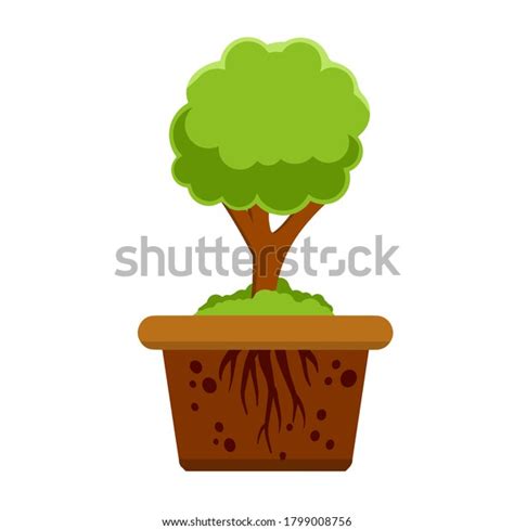 Root System Tree Nature Forest Layer Stock Vector Royalty Free 1799008756 Shutterstock