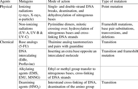 Mode Of Action Of Physical And Chemical Mutagenic Agents Used For