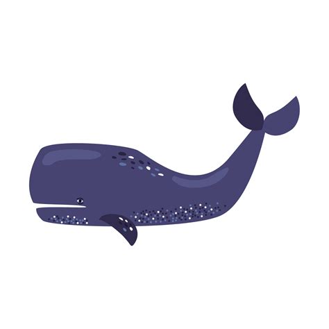 Sperm Whale Sealife 11132924 Vector Art At Vecteezy
