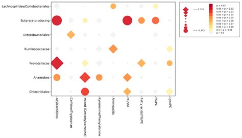 Simplified Cross Correlation Partial Correlation Analysis Of