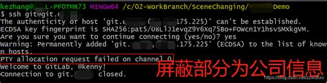 Windows GitLab PTY Allocation Request Failed On Channel ProgrammerAH
