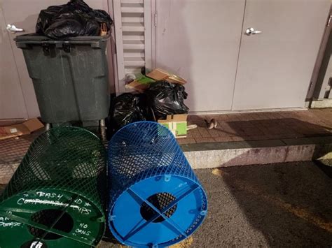 Opinion Addressing The Rat Infestation Problem In Somerville