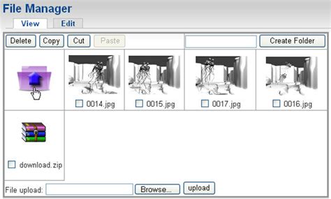 Screenshot Of The File Management Web Page Download Scientific Diagram