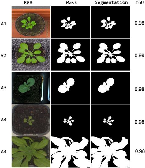 Frontiers A Segmentation Guided Deep Learning Framework For Leaf Counting
