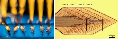 A Long Lasting Neural Probe
