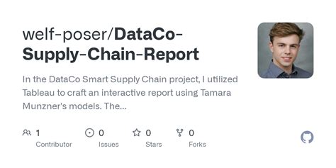 Github Welf Poser Dataco Supply Chain Report