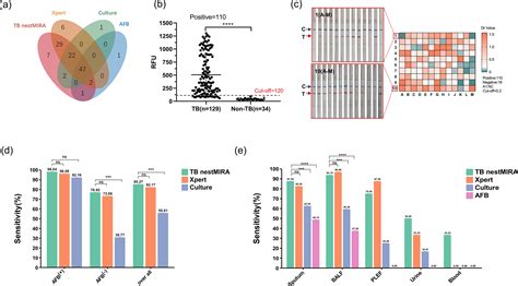 Rapid And Sensitive Detection Of Mycobacterium Tuberculosis Using Nested Multi Enzyme Isothermal