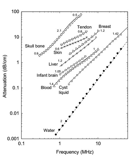 Experimental Attenuation Data For Some Tissues [1] Lines And Download Scientific Diagram