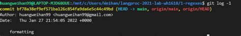 testing on vagrant · issue 43 · langproc langproc 2021 lab · github