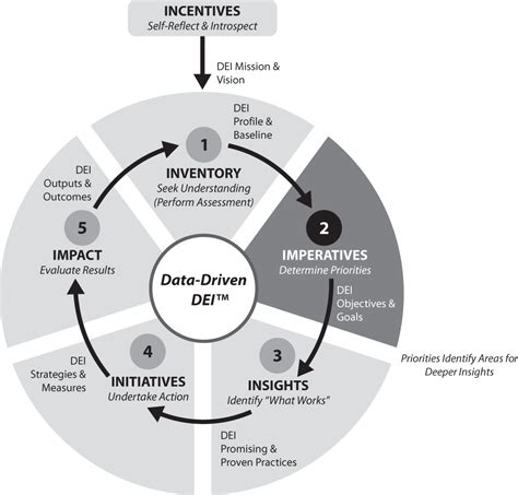 Step 2 Dei Imperatives—determine Priorities Data Driven Dei Book