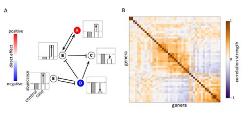 Microbial Interactions Generate Spurious Associations A A Download Scientific Diagram
