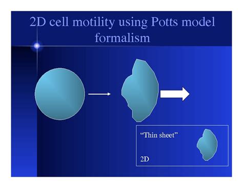 Cell Polarity Models And Simulating Cell Motility Using The Cellular