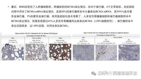 基因修饰t细胞治疗产品药理毒理研究关键考量点及案例分析 知乎