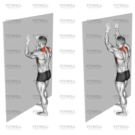 Serratus Wall Slide Exercise Guide Techniques Benefits How To