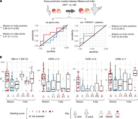 Cross Prediction Of Patients With Cm In India From Rf Models Trained On Download Scientific
