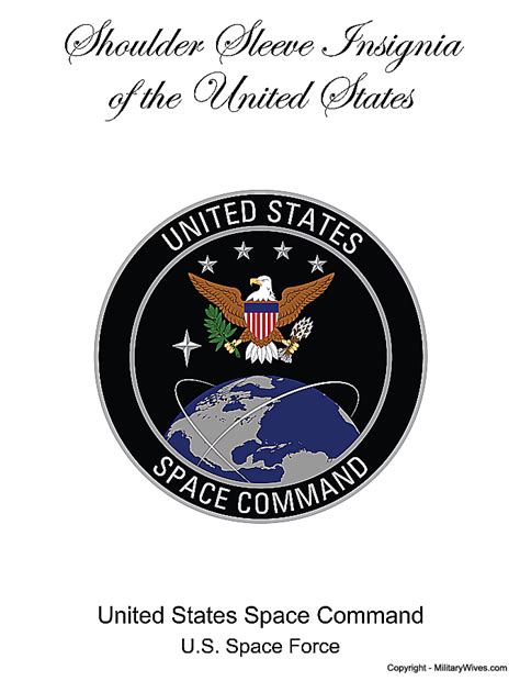 Ssi Of The United States Space Force
