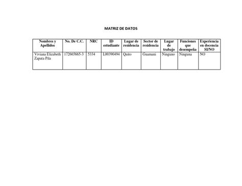 Matriz De Datos Pdf