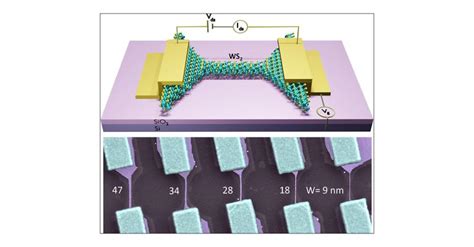 Ultranarrow Semiconductor Ws2 Nanoribbon Field Effect Transistors Md Anamul Hoque