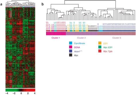 Cluster Analysis Of Mouse Hccsa Unsupervised Hierarchical Cluster