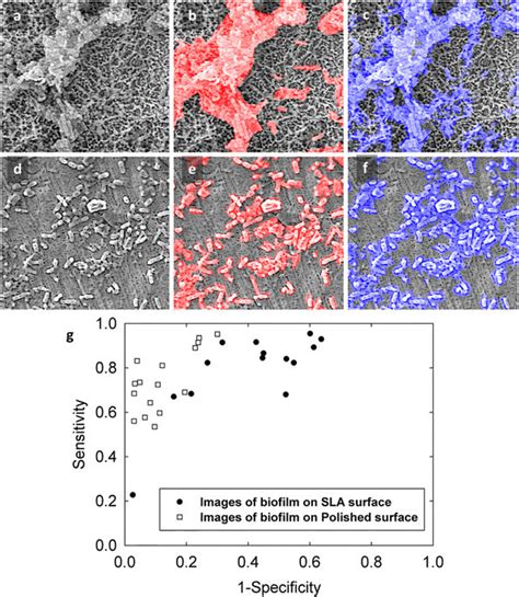 examples of comparing the automatic segmentation to a manual reference