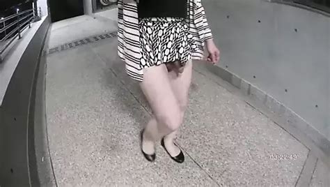 Free Shemale Public Porn Videos XHamster