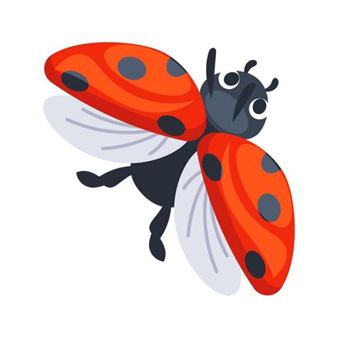 Cute Ladybug Flying And Showing Its Wings 64830166 Vector Art At Vecteezy