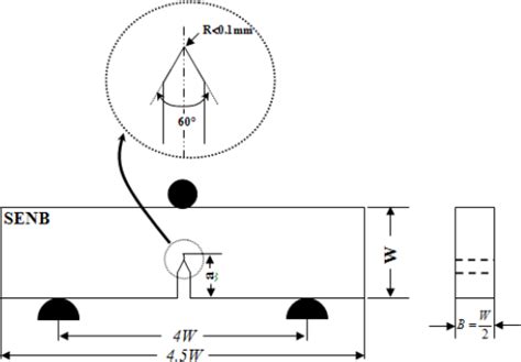 Geometry Of Senb Specimen Download Scientific Diagram