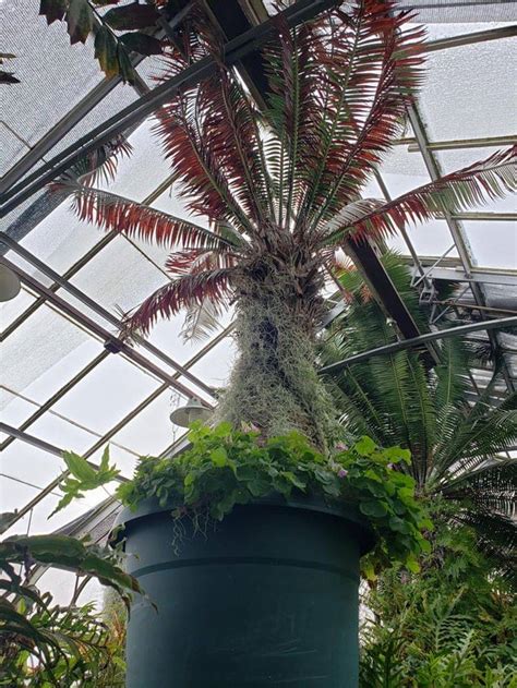 This Secret Greenhouse In California Is Protecting The Worlds Most