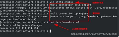 linux下的dns域名解析全过程 指定域名配dns linux csdn博客