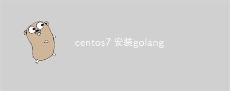 how to install golang on centos7 golang php cn