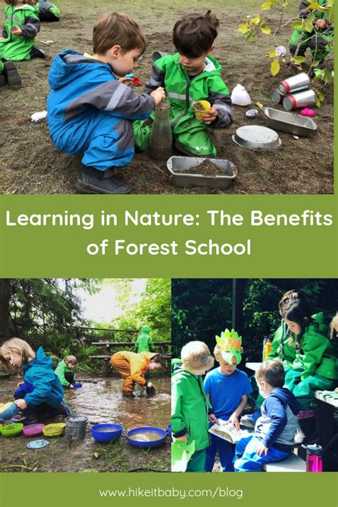 Forest School Math Activities Artofit