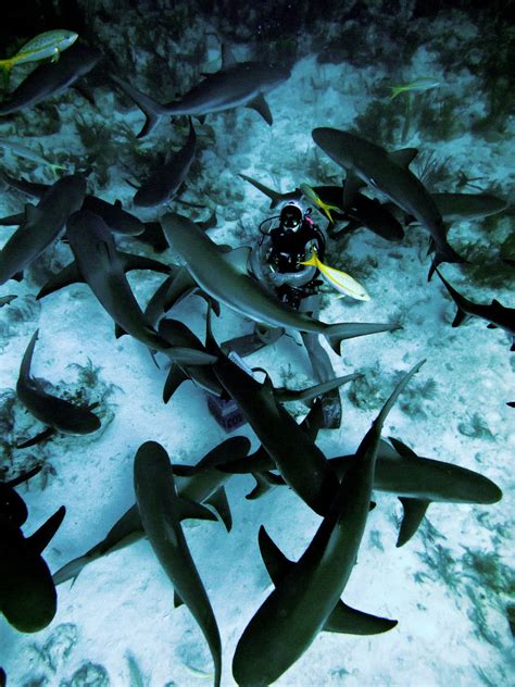 Nassua Bahamas Fotonji