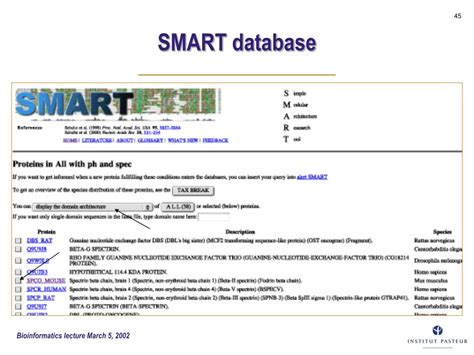 Ppt Bioinformatics And Sequence Analysis Powerpoint Presentation
