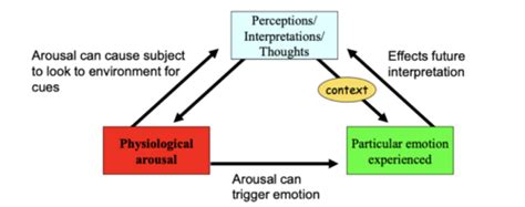 Psyc 304 Emotion Flashcards Quizlet