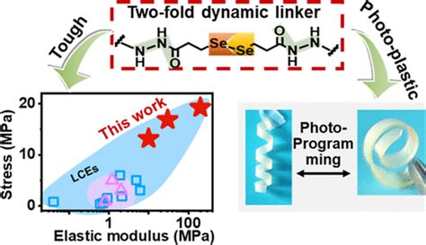 Tough And Photo Plastic Liquid Crystal Elastomer With A 2 Fold Dynamic