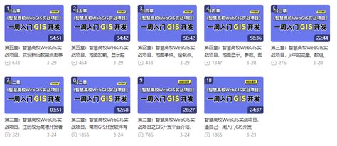 新手必看webgis开发八大实战项目 webgis课程推荐 csdn博客