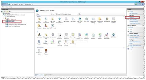 How To Implement Alternate Access Mapping