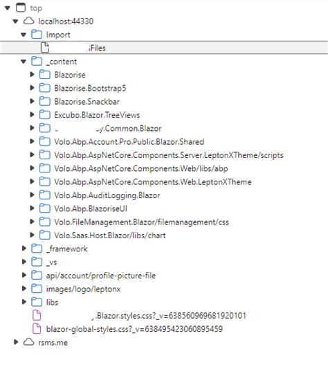 File Property In Entity Failed To Load Razorjs Resource 7478