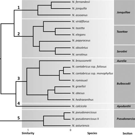 hierarchical cluster dendrogram of the 20 investigated taxa of
