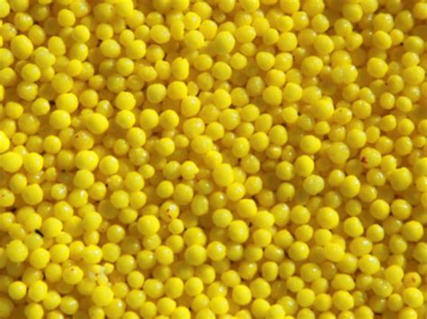 产品展示 河北宏福农业科技有限公司 宏福农业