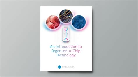 An Introduction To Organ On A Chip Technology Emulate