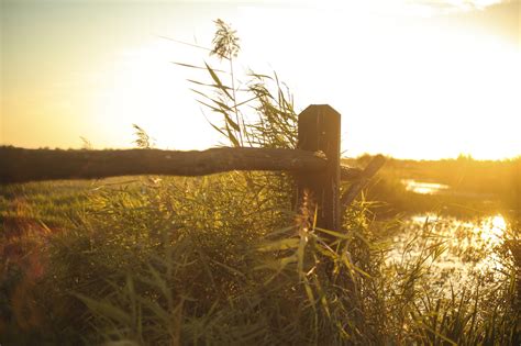 Notre Histoire Beillevaire Groupe