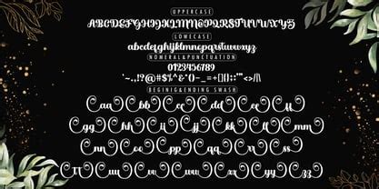 Hello Cantika Script Font Webfont Desktop MyFonts