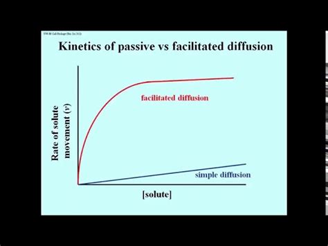 Facilitated Diffusion Diagram