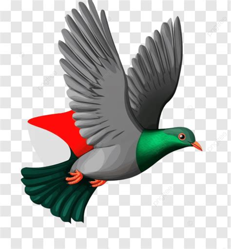 생생한 녹색 및 빨간색 깃털을 가진 날아다니는 비둘기의 그림 날아다니는 비둘기 생생한 색상 새 그림 Png 일러스트 및 이미지 에 대한 무료 다운로드 Pngtree
