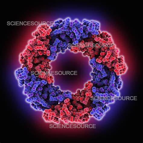 Hemolysin Coregulated Protein Stock Image Science Source Images