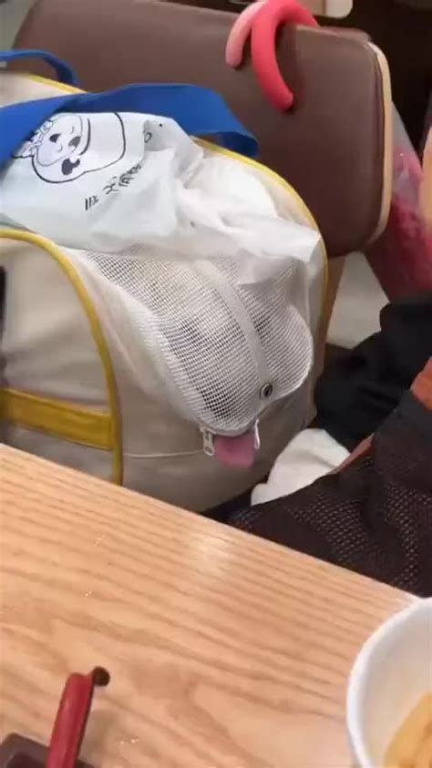 How To Spot A Mimic Album On Imgur